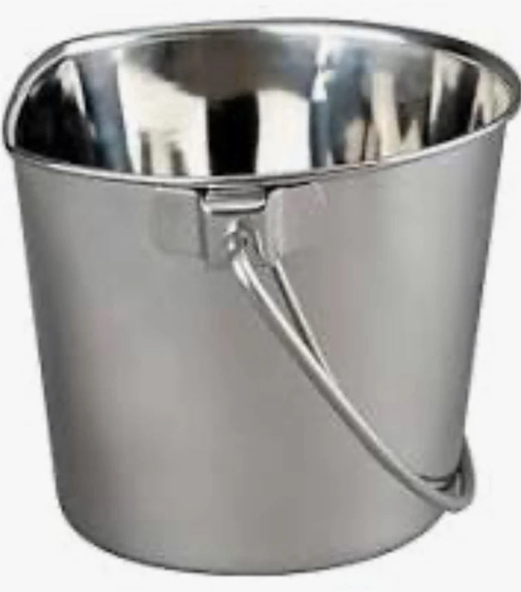 I’m sure all(or most) of u will understand this reference | Fandom