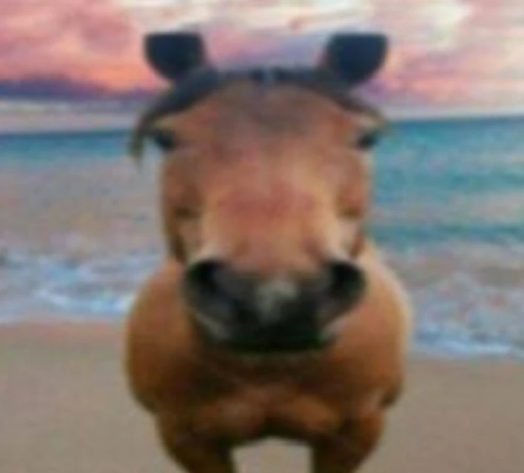 No sleeping! | Fandom