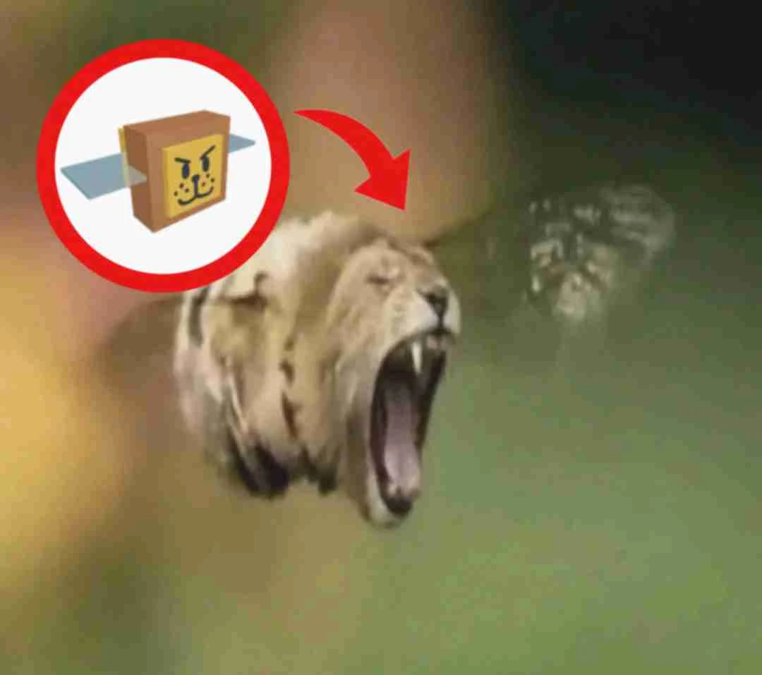 Top 10 BEE SWARM Caught on Camera and Spotted in Real Life | Fandom