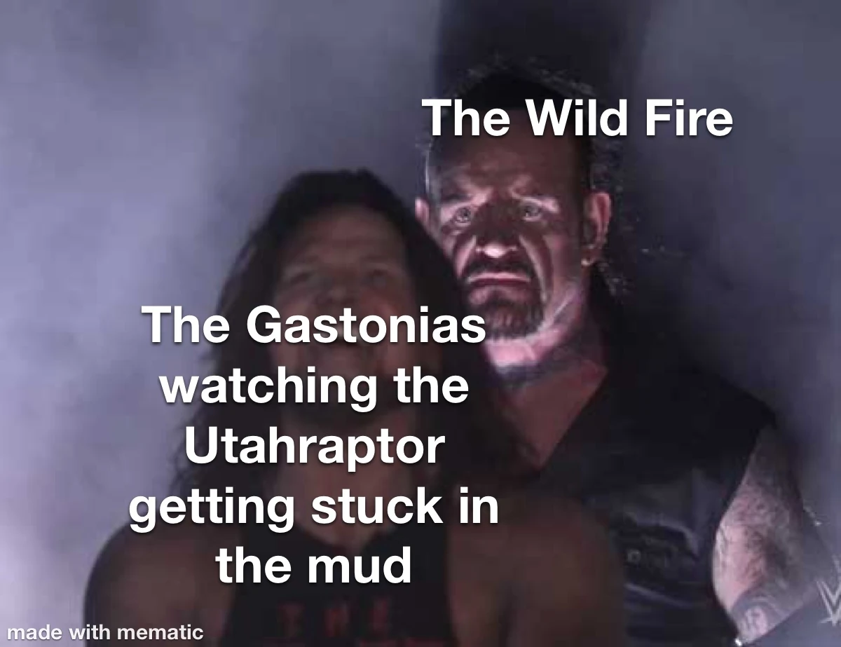 WWD 2025 Memes | Fandom