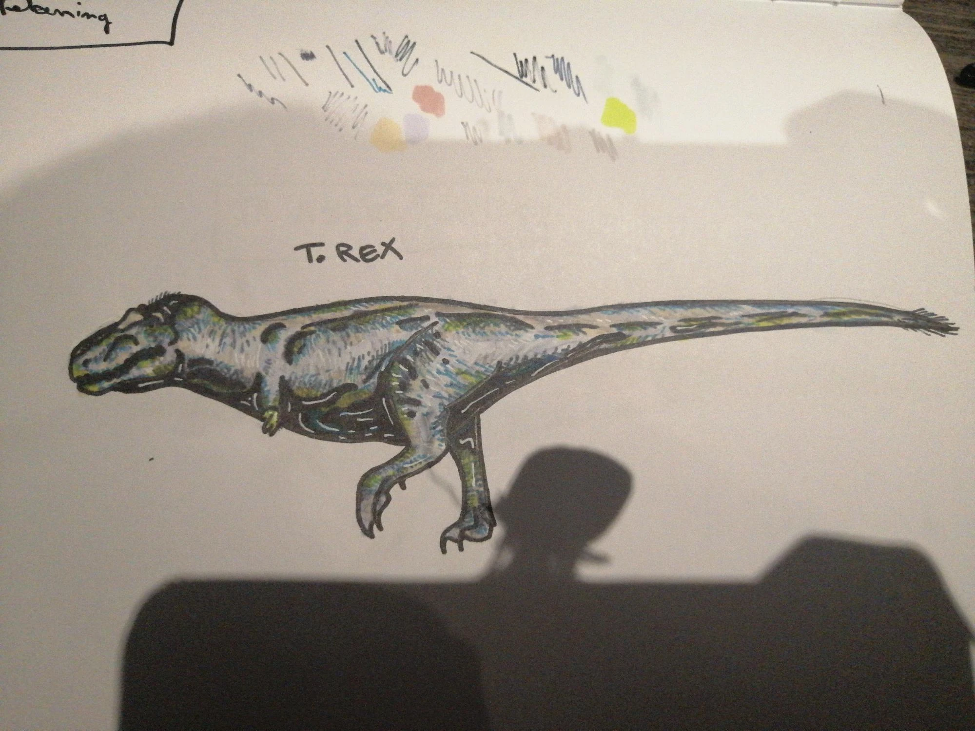 My t Rex art | Fandom
