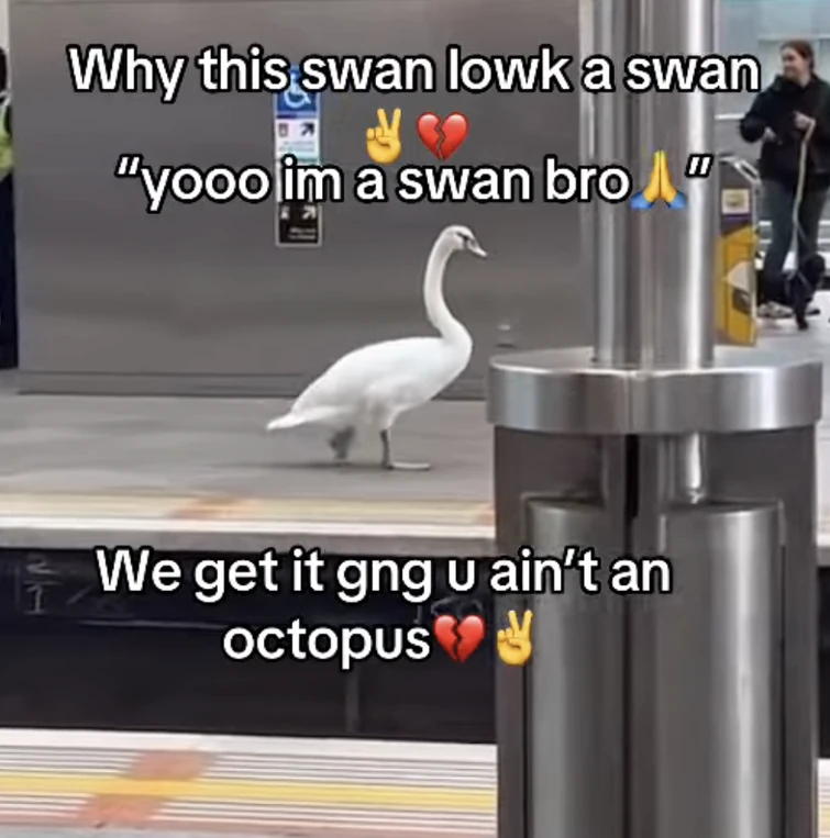 Sol's RNG Wiki Megathread | Fandom