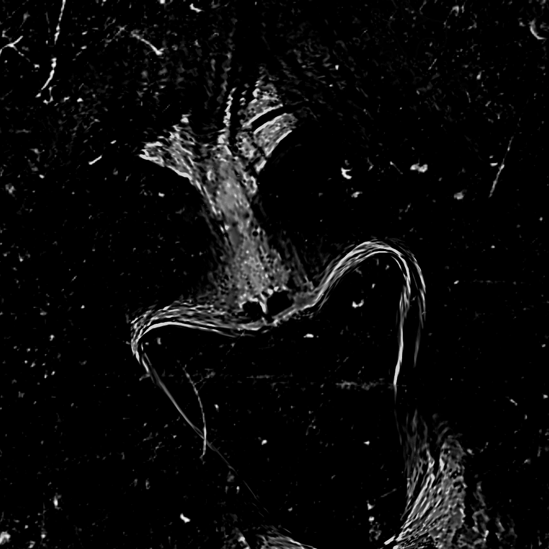 a simple replacement of devon's 65K | Fandom