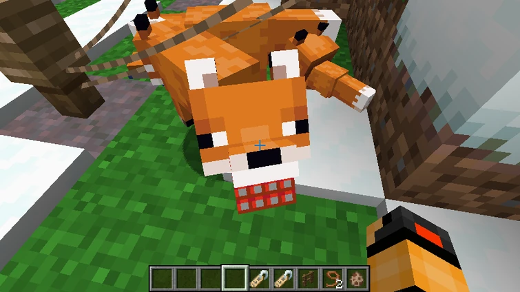 Discuss Everything About Minecraft Wiki | Fandom