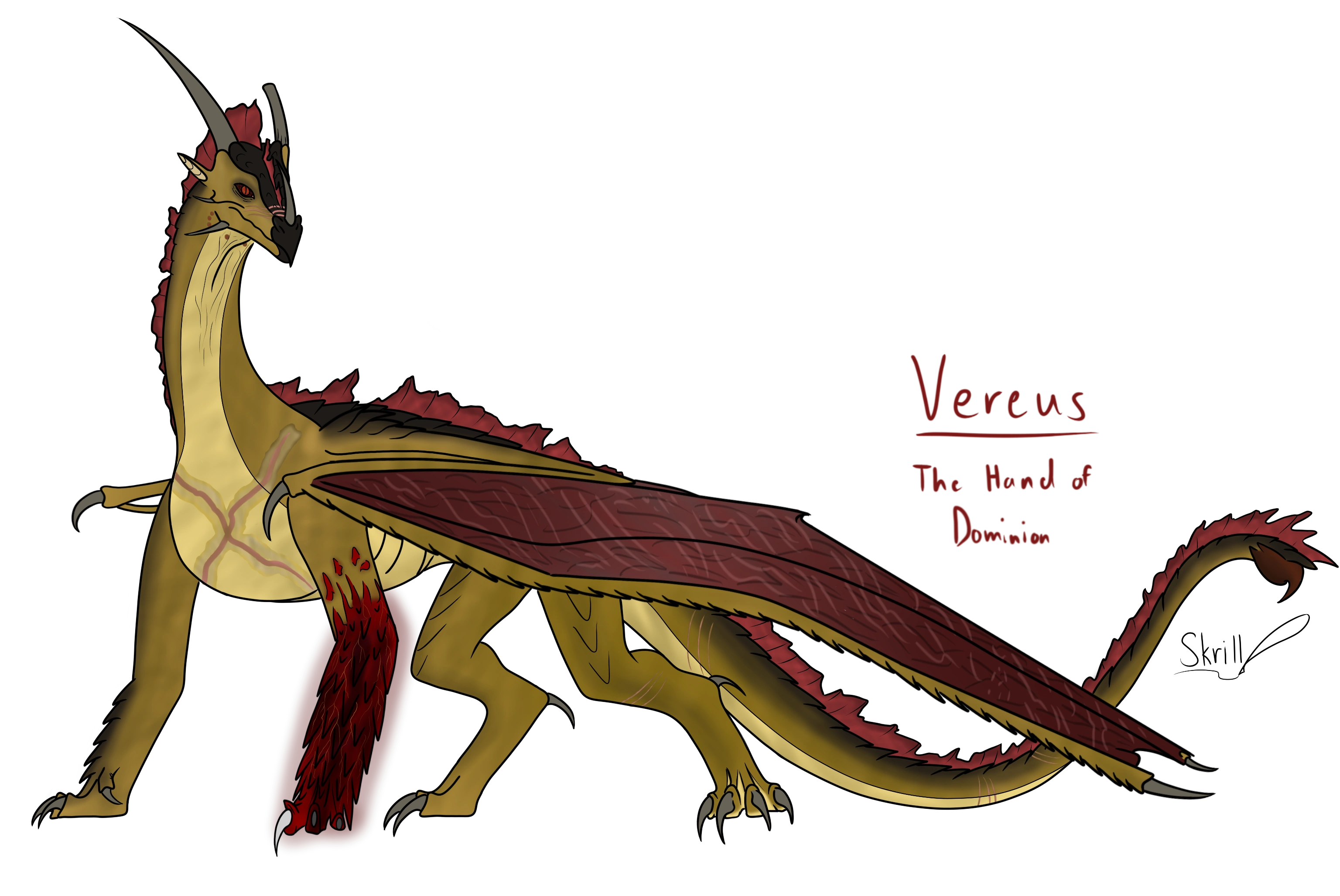 How Would You Describe Vereus Fandom