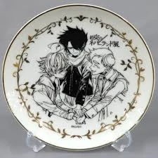 TPN plate | Fandom