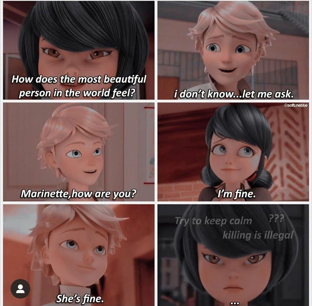 You overdid it, Adrien ??? | Fandom