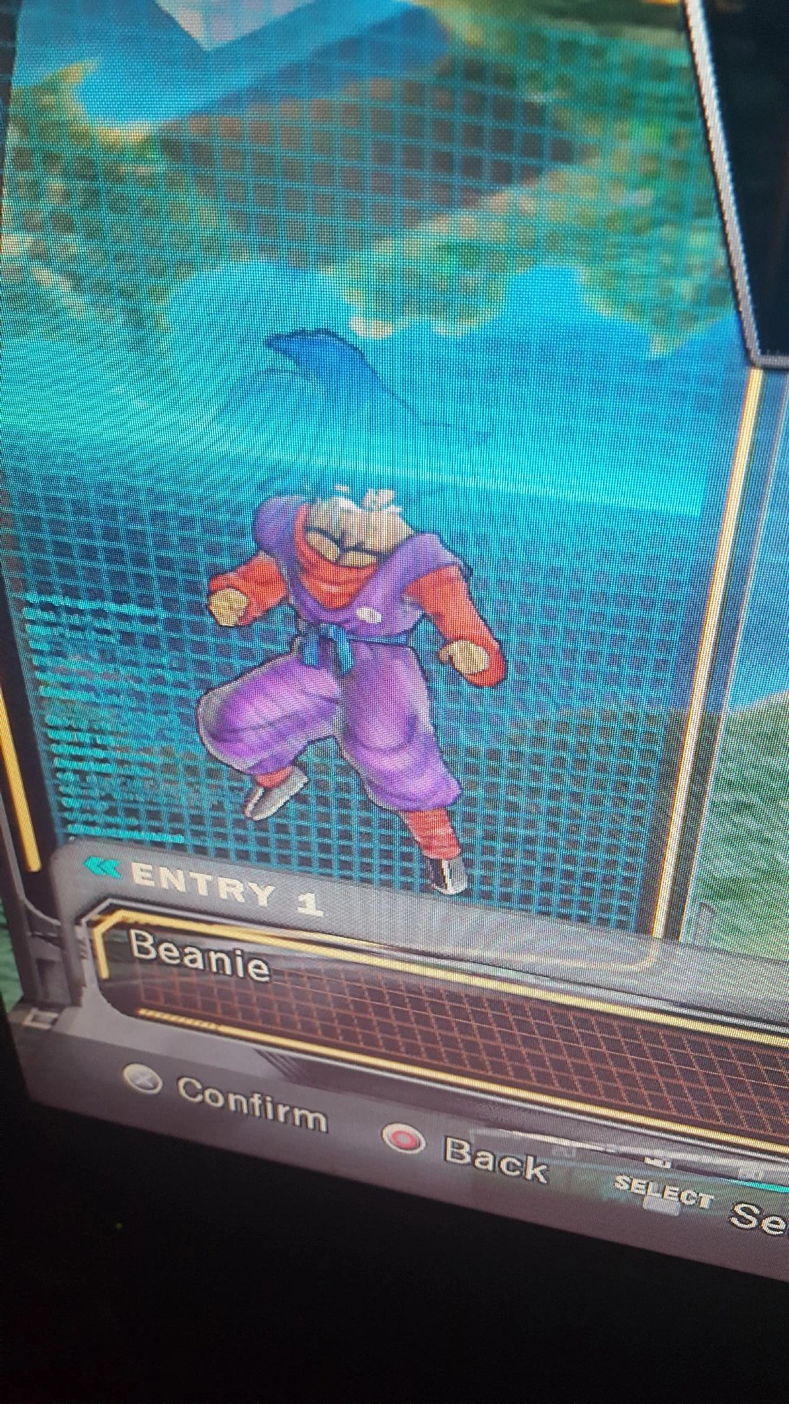 DRAGON BALL SHIKOTA | Fandom