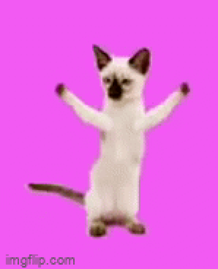 go kitty go | Fandom