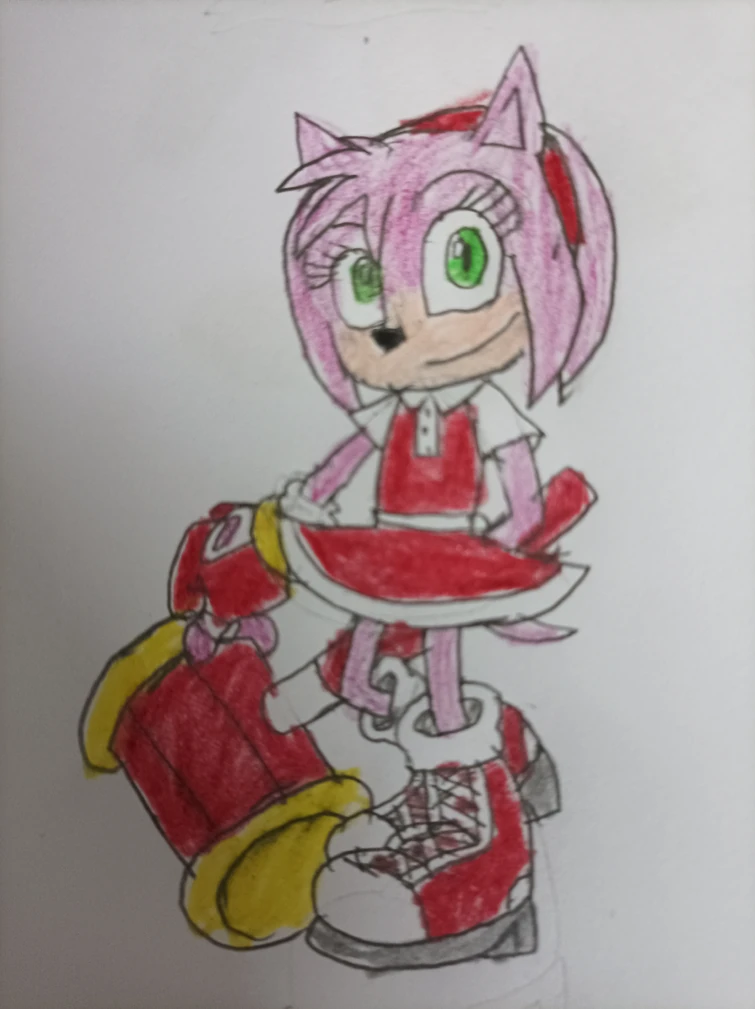My Movie Amy Rose and Rouge the Bat design. | Fandom