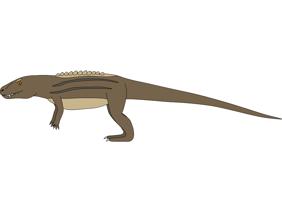 Postosuchus | Fandom