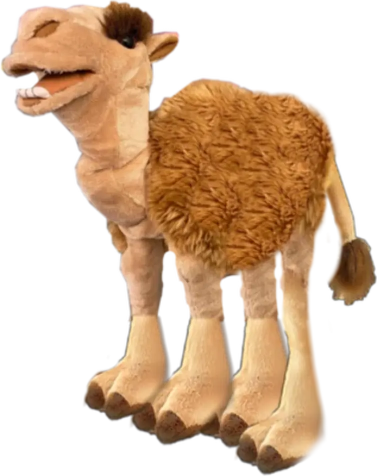 Top 5 Best and Worst SML characters (my opinion) | Fandom