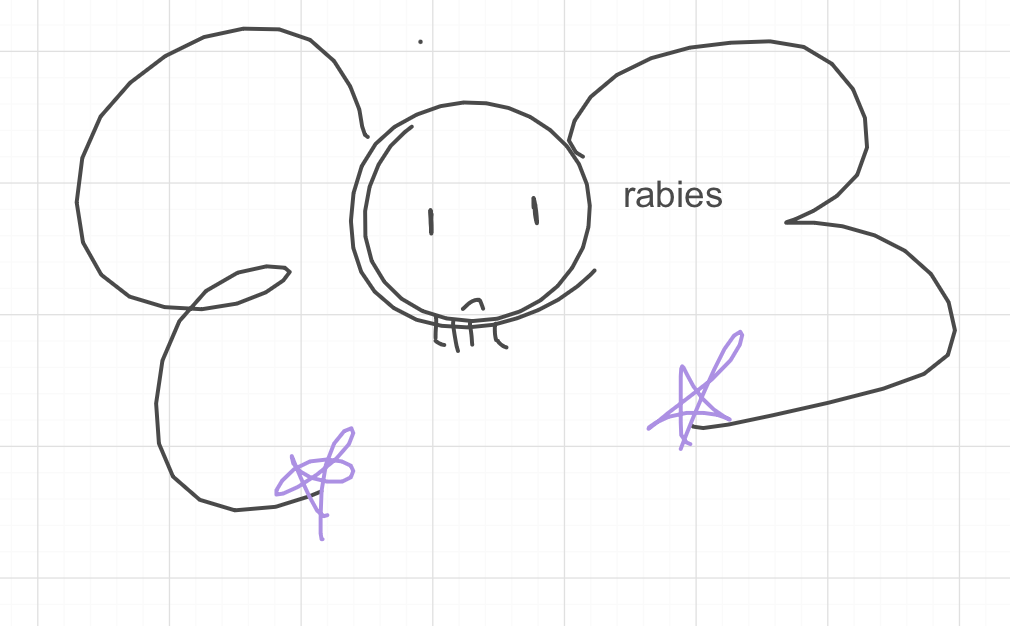 eww go in your cage rat | Fandom