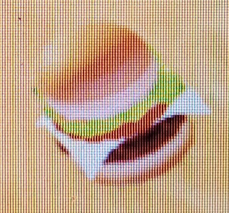 🍔Official CoS Burger Post🍔 (includes the COORDINATES!!)🍔 | Fandom