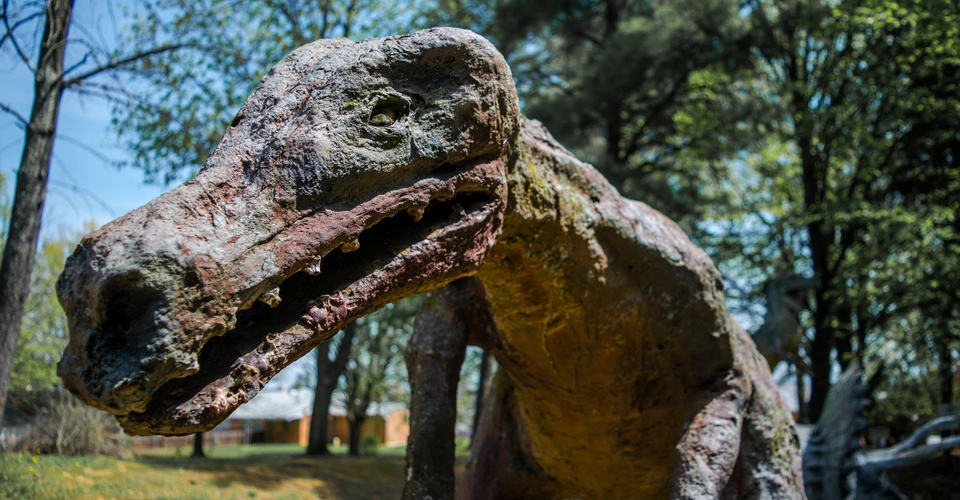 😭😫The Great Gringé Contest😳🫠 | Fandom