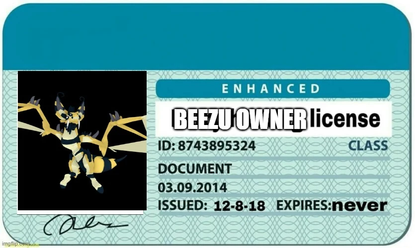 all the licenses i made | Fandom