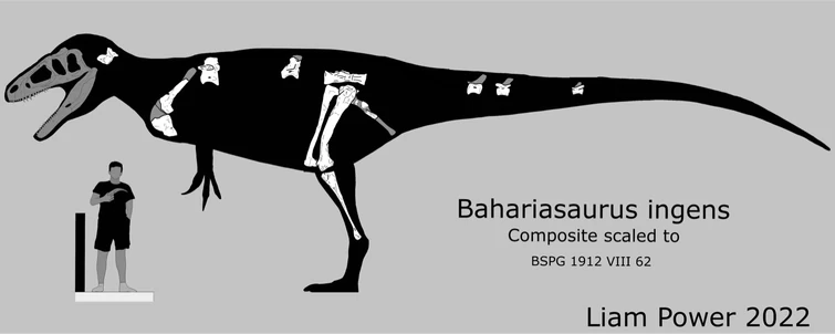 Bahariasaurus ingens | Fandom