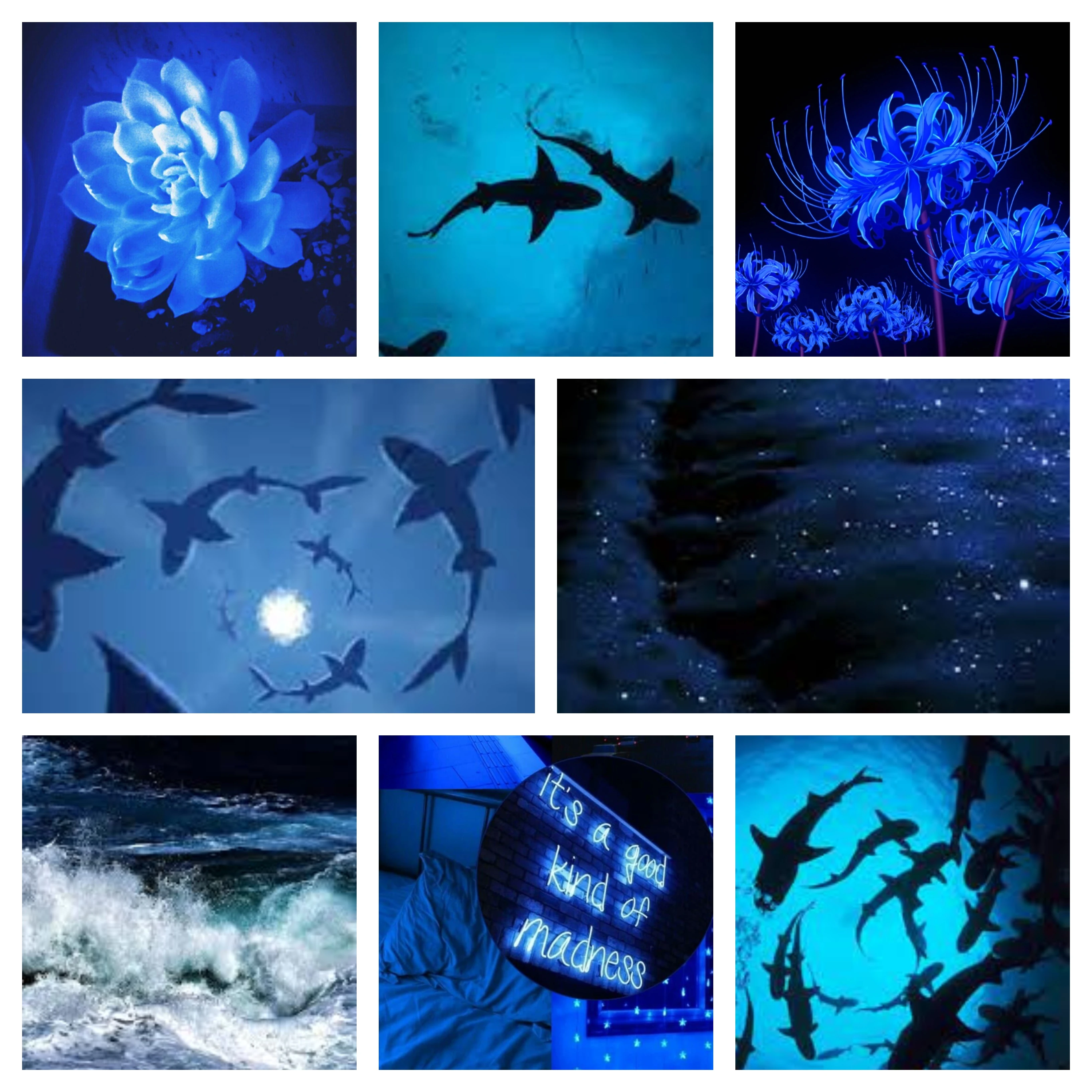 newest moodboard raaahh | Fandom