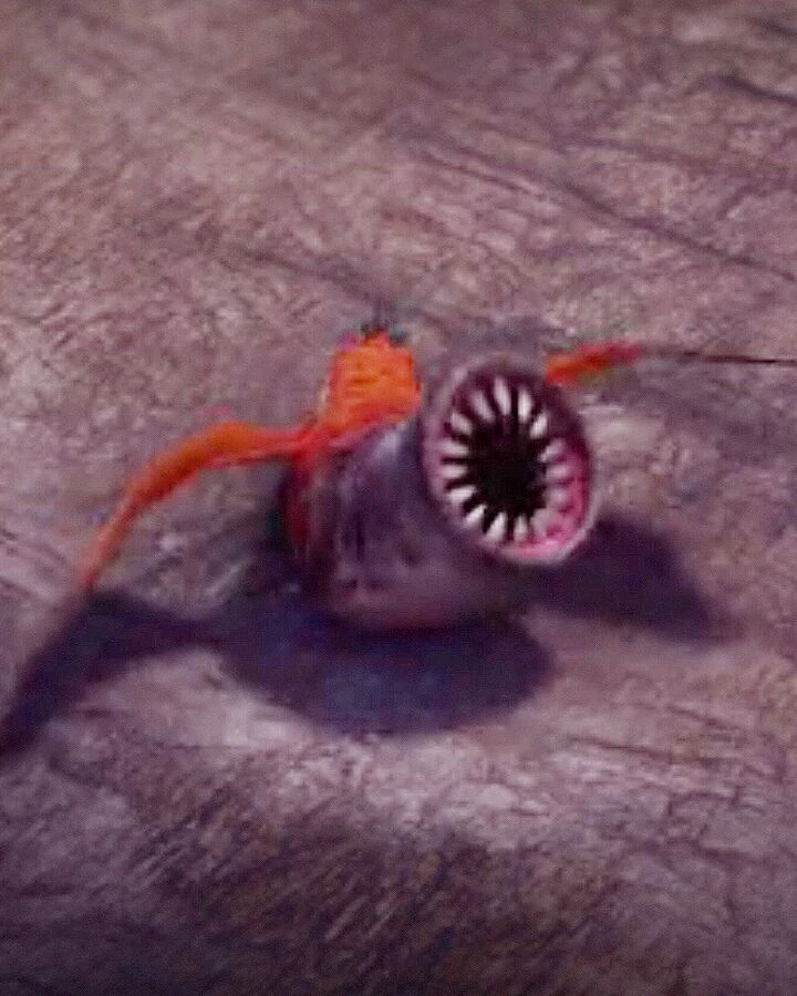 The qurio are quite similar to a creature from another franchise ...