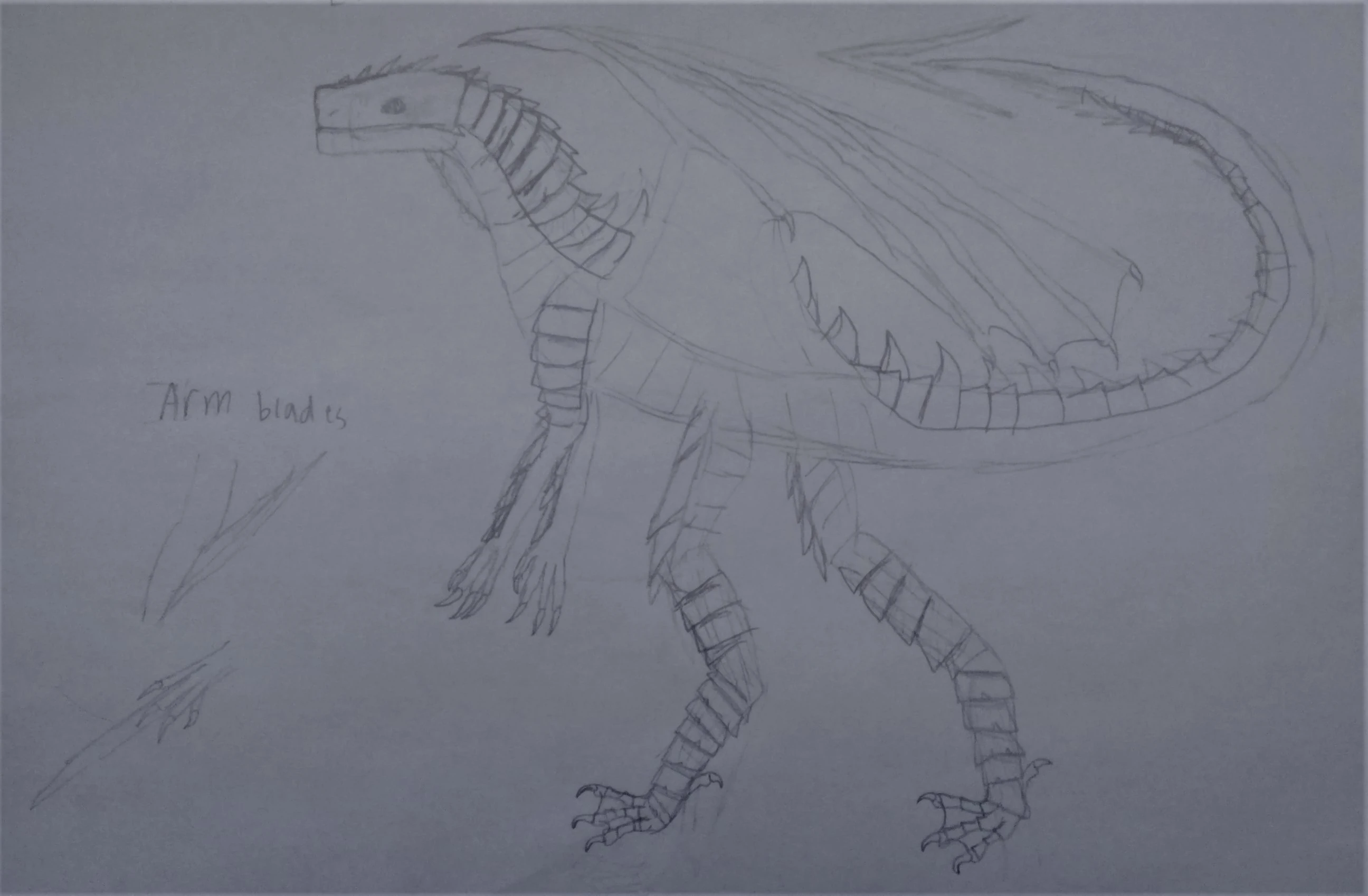 My OC | Fandom