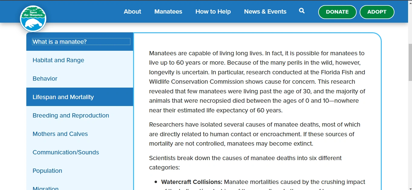 getting research for projects is boring | Fandom