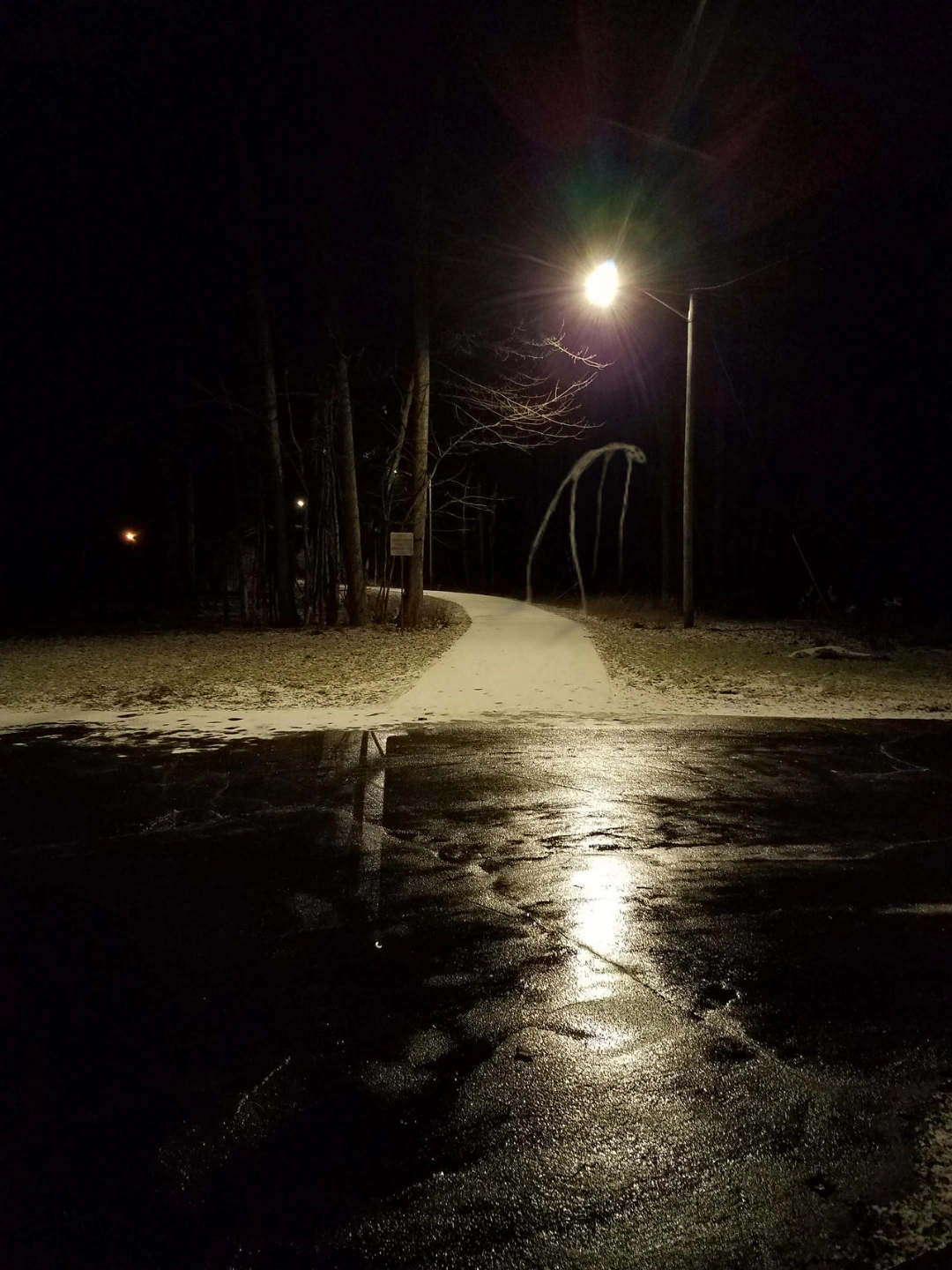 More creatures | Fandom