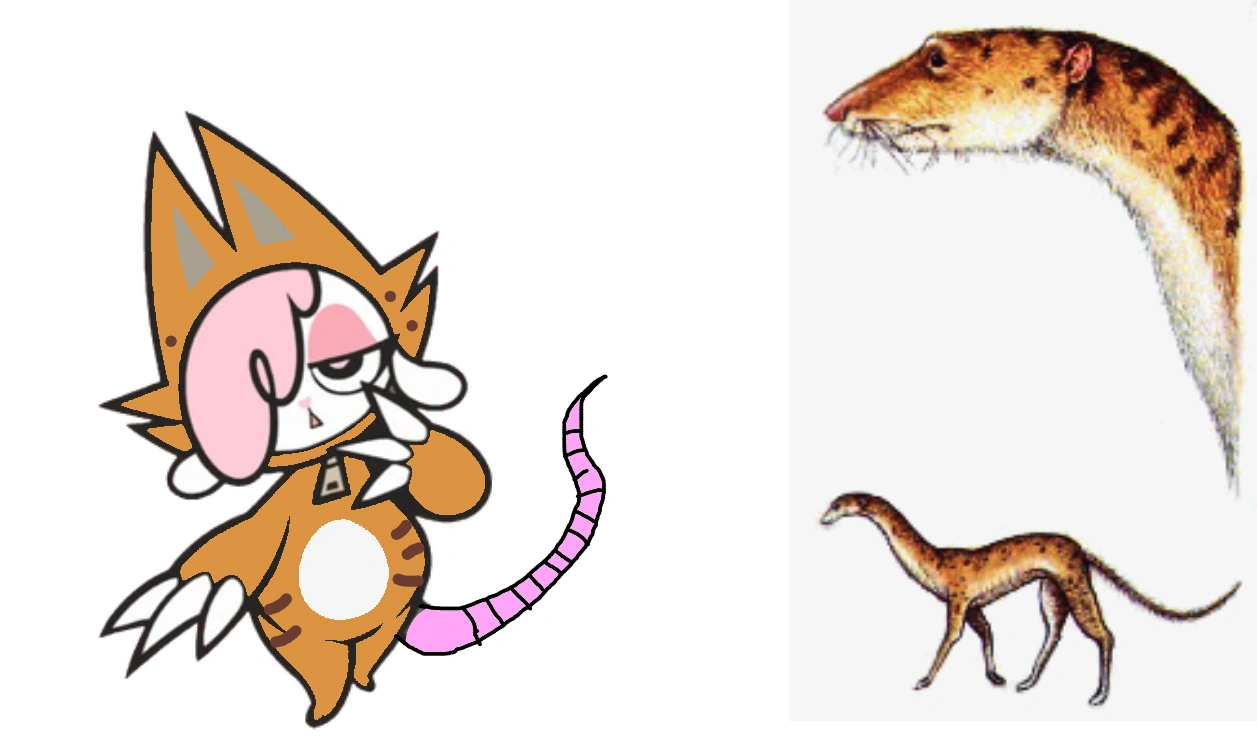 Cofi The predator Rat | Fandom