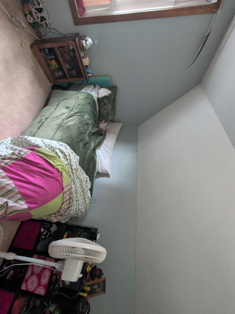 Discuss Everything About Dress To Impress Wiki | Fandom