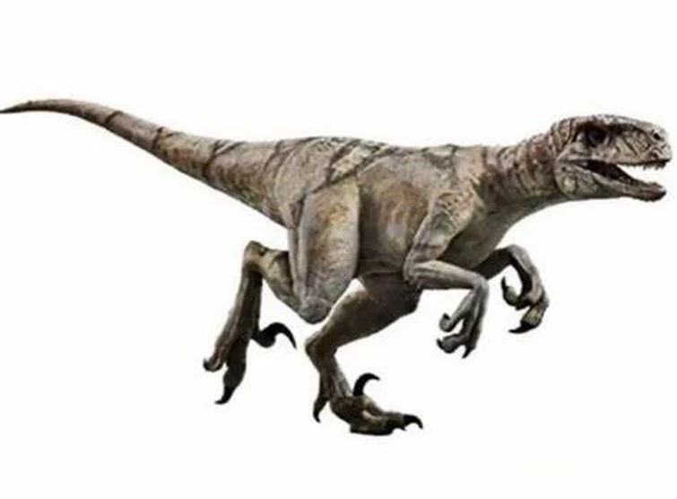 Atrociraptor “Red” | Fandom