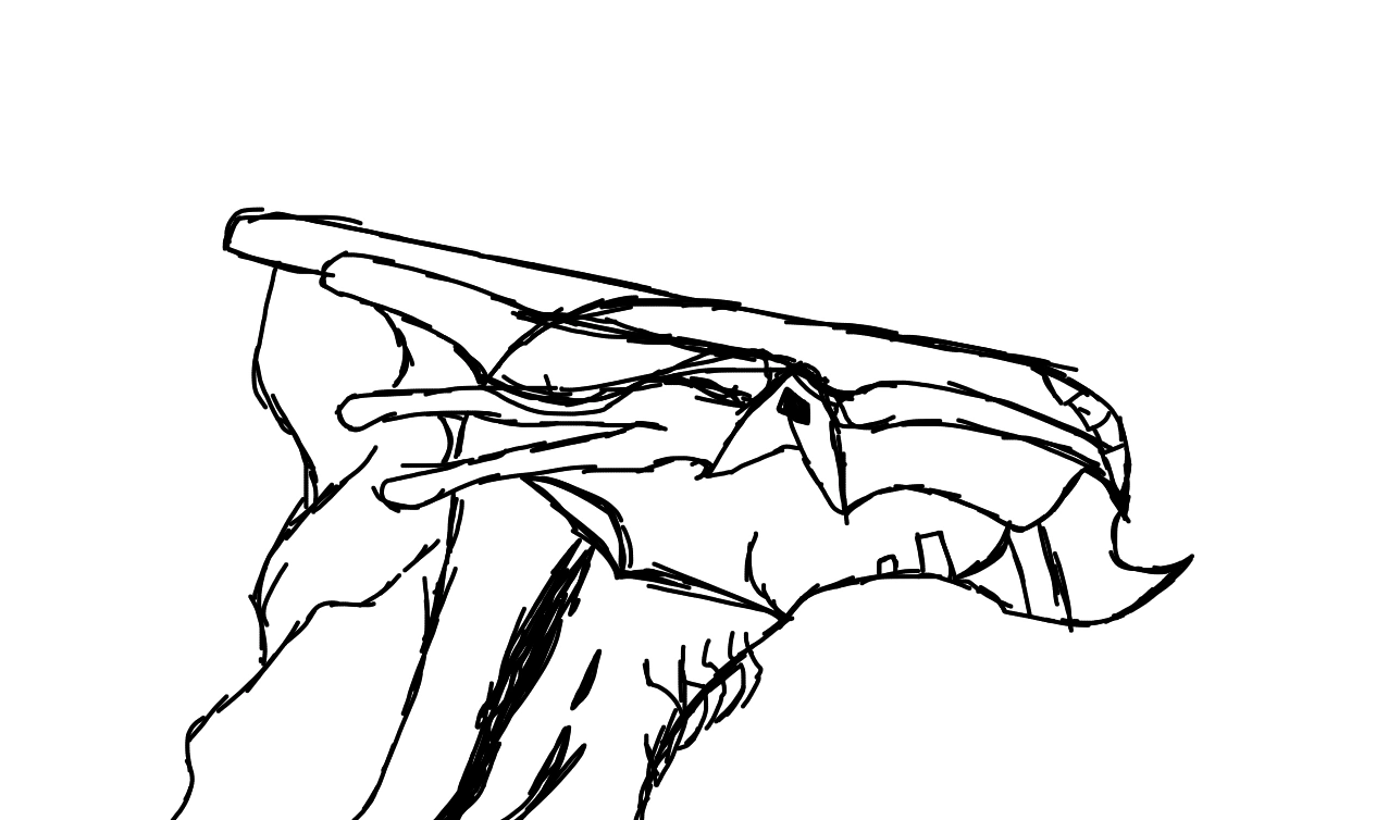 drawing turgeon, sketch 2 | Fandom