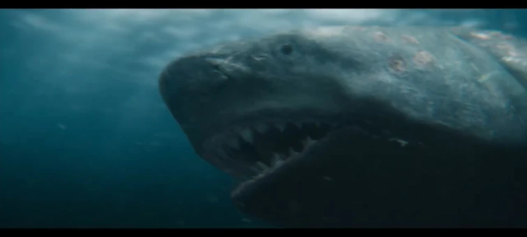Discuss Everything About Meg book series Wiki | Fandom
