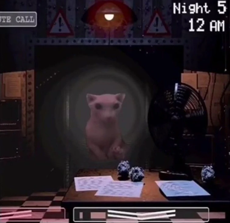 Bingus is officially part of the FNaF universe. | Fandom