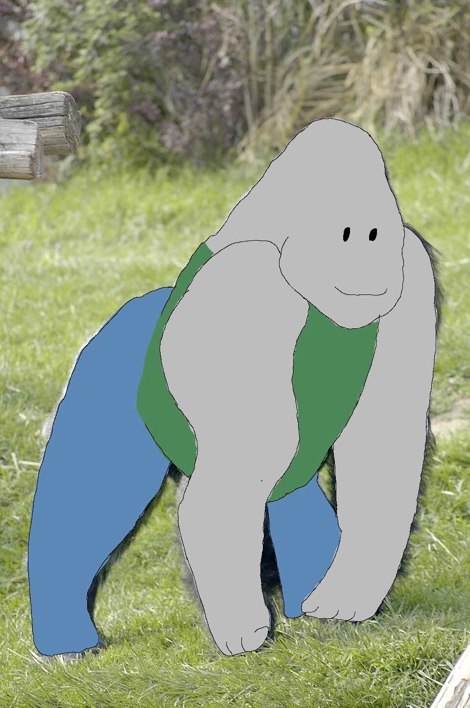 2x2 gorilla | Fandom