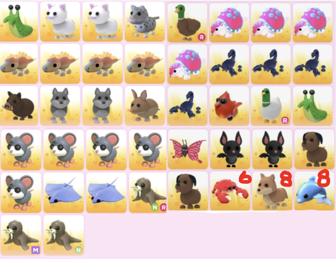 trading my challenge inv