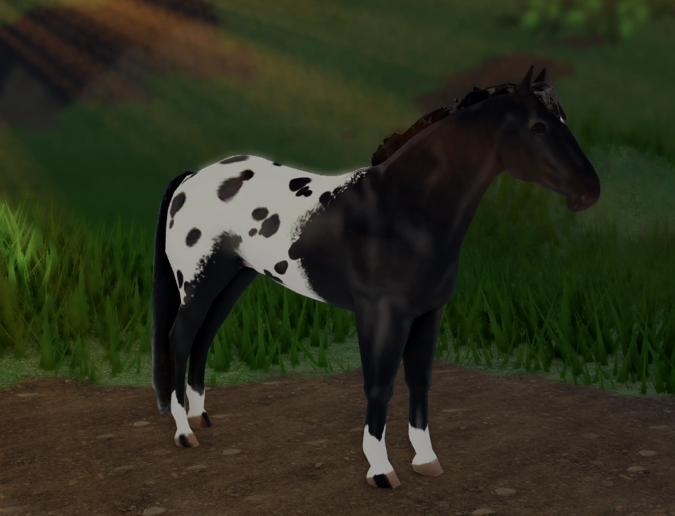 `- Please Welcome...! -` | Fandom