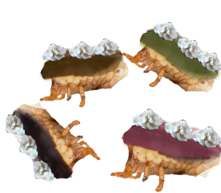 Discuss Everything About Amphibia Wiki | Fandom