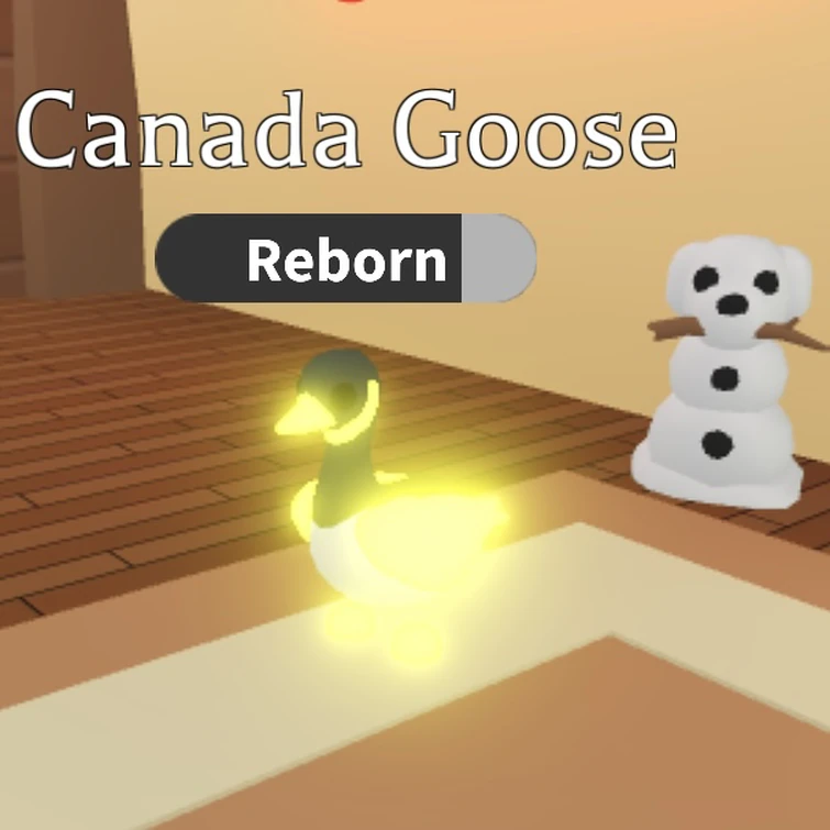 Discuss Everything About Adopt Me! Wiki | Fandom