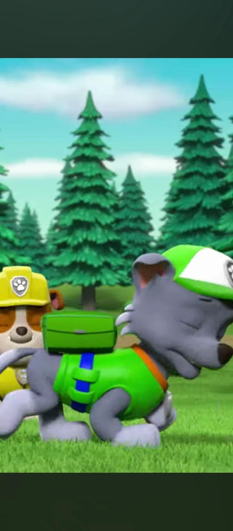 Rocky and Rubble | Fandom