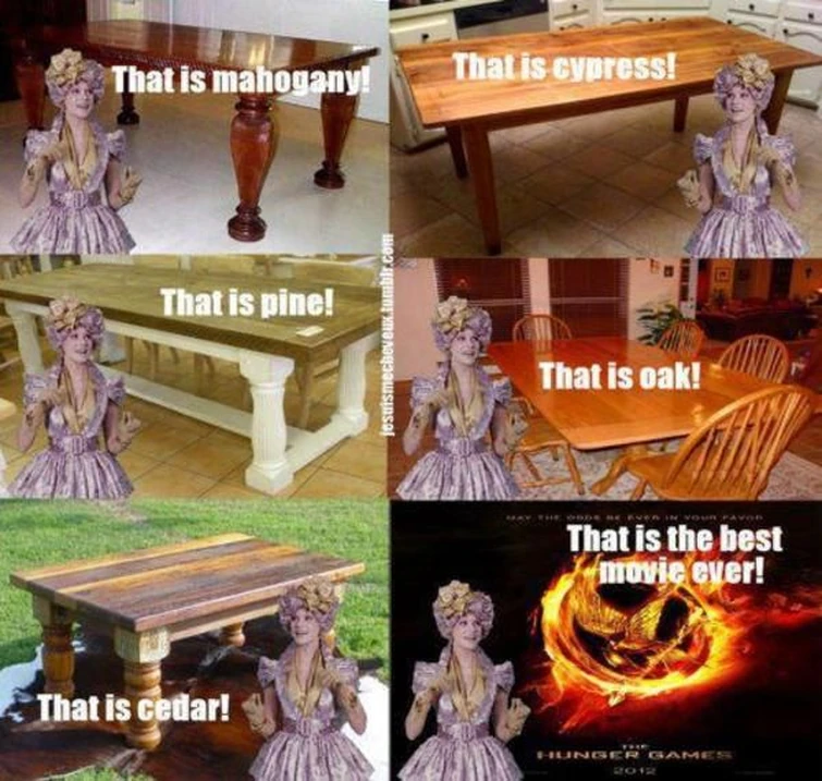 THAT IS MAHOGANY! | Fandom