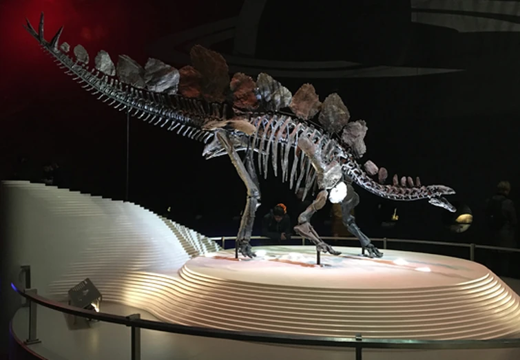 Guess where these famous fossils are exhibited! | Fandom