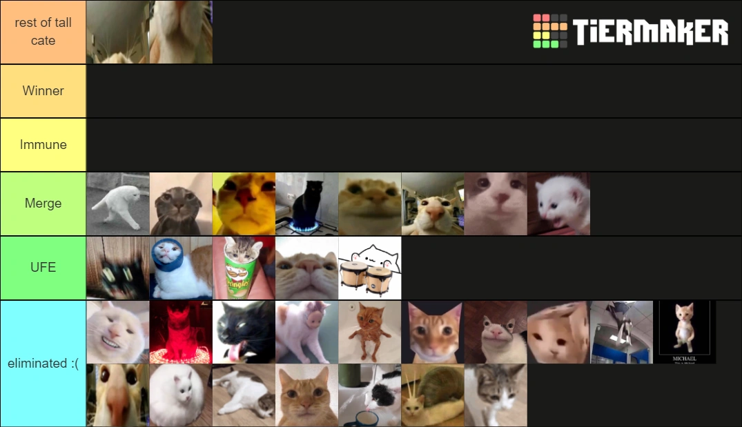 Cat Voting 18! | Fandom