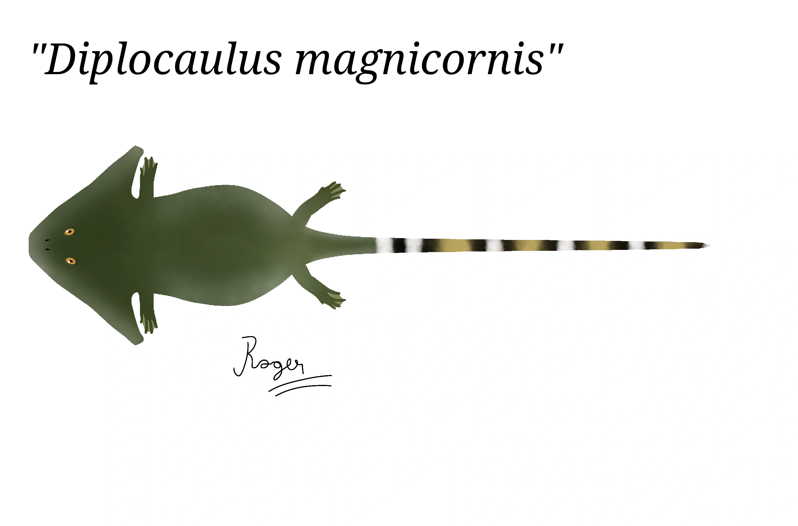 My drawing of Diplocaulus: | Fandom