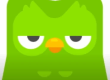 The Duolingo Bird (CG5 song version) is a: | Fandom