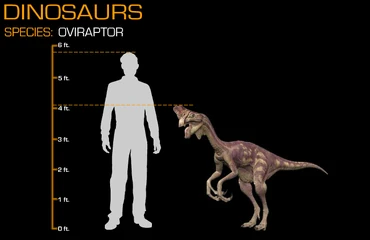 Discuss Everything About Dinopedia | Fandom