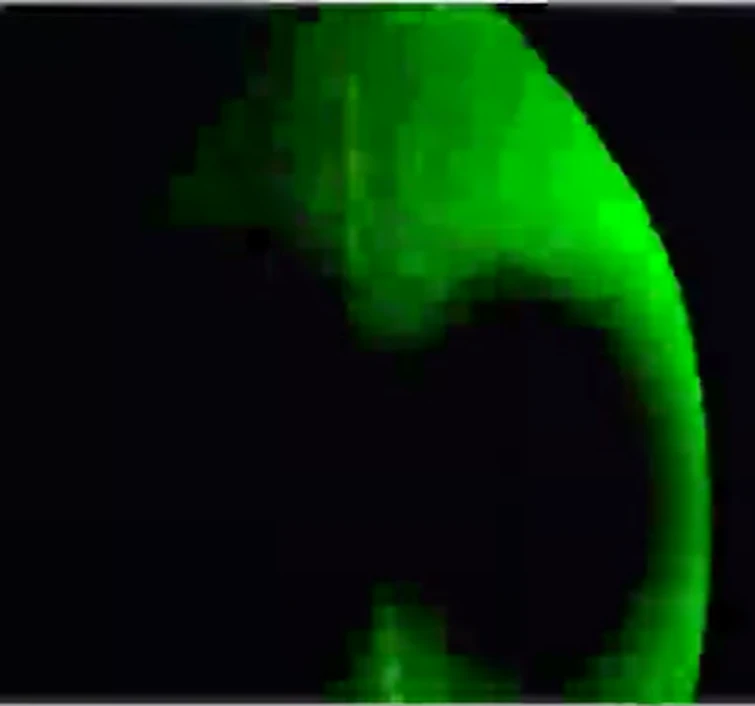 Guess my halloween costume through the following images: | Fandom