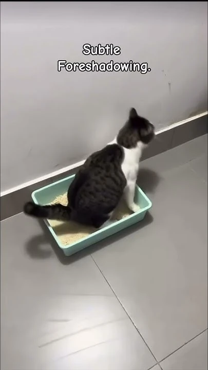 subtle foreshadowing | Fandom