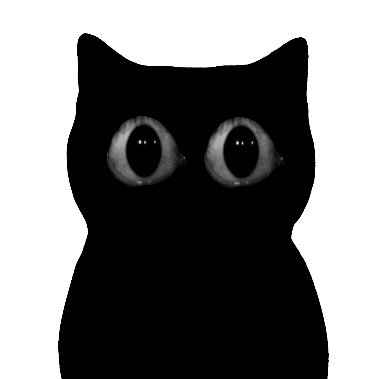 Angry Munci has a pet! | Fandom