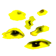 G-220 (the eyes) fanmade entity | Fandom