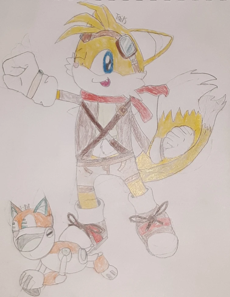 How would you redesign the Sonic characters? | Fandom