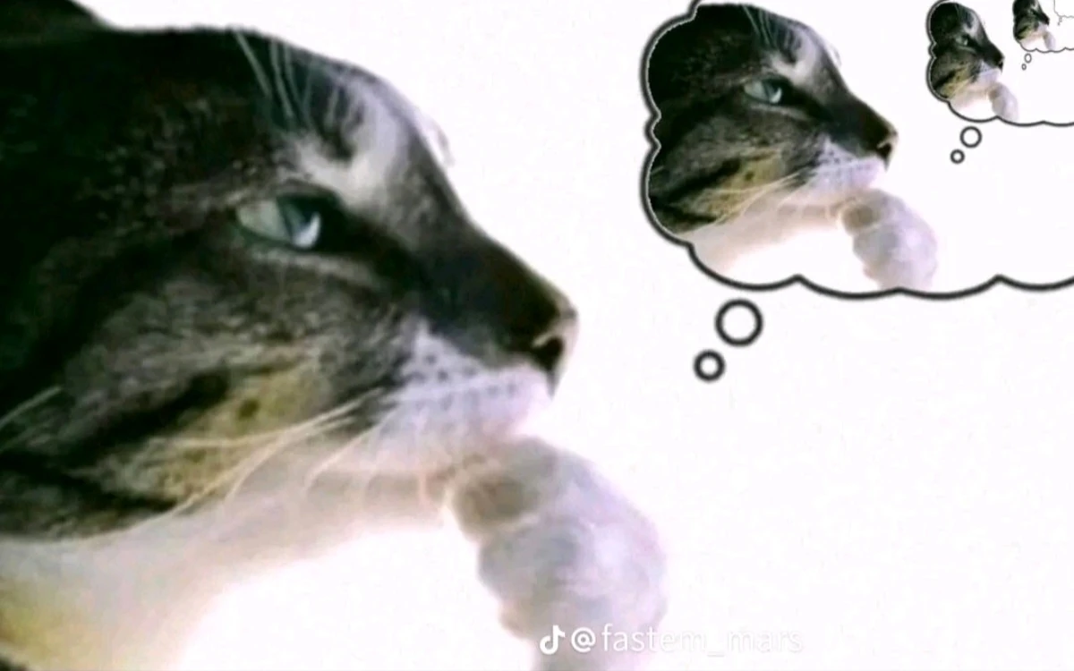 Guess what i am thinking | Fandom